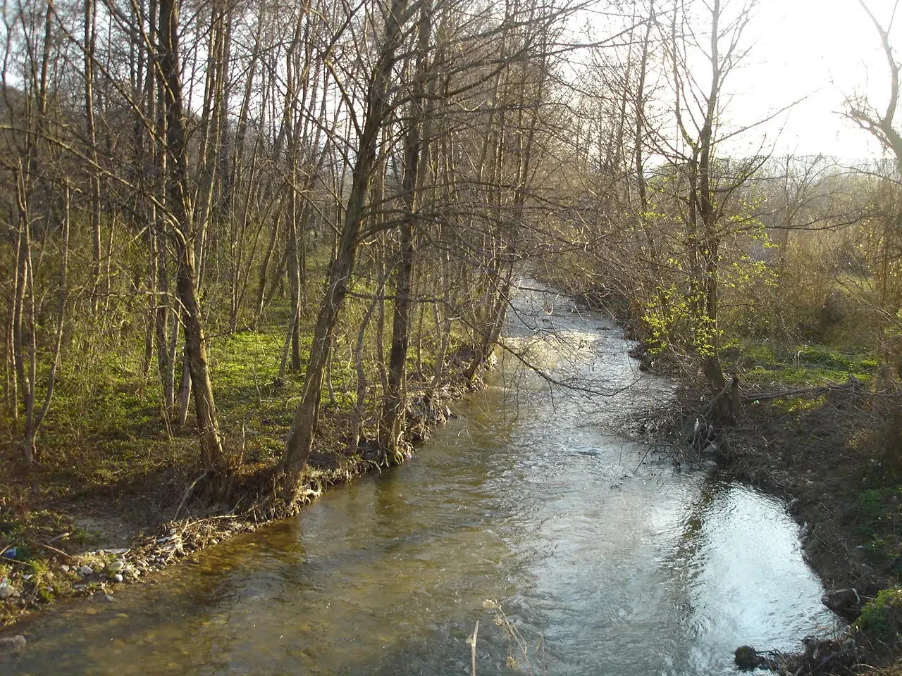 (ВИДЕО) Маркова Река се излеа, поплави дел од Батинци - Радио Лидер